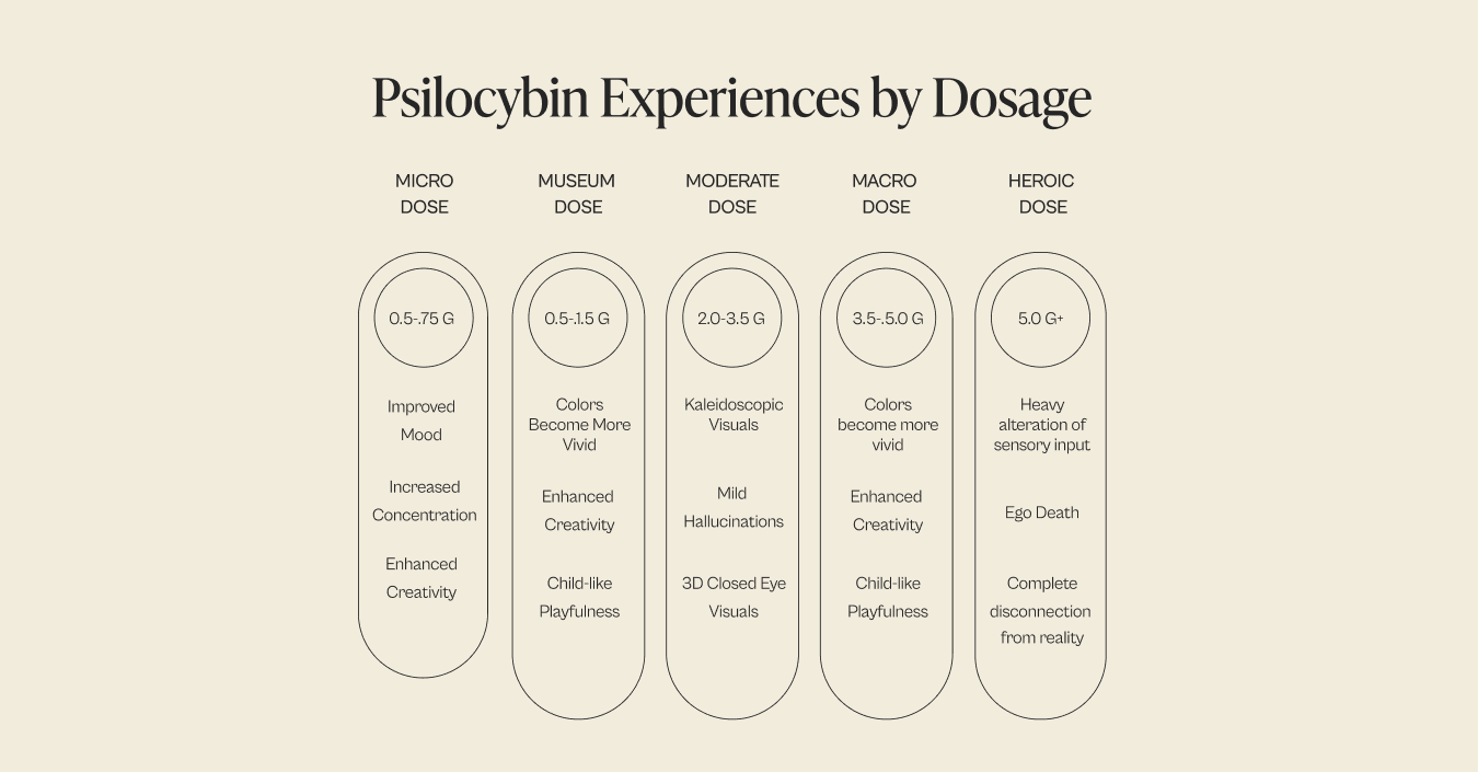 Magic Mushroom Dosage 101